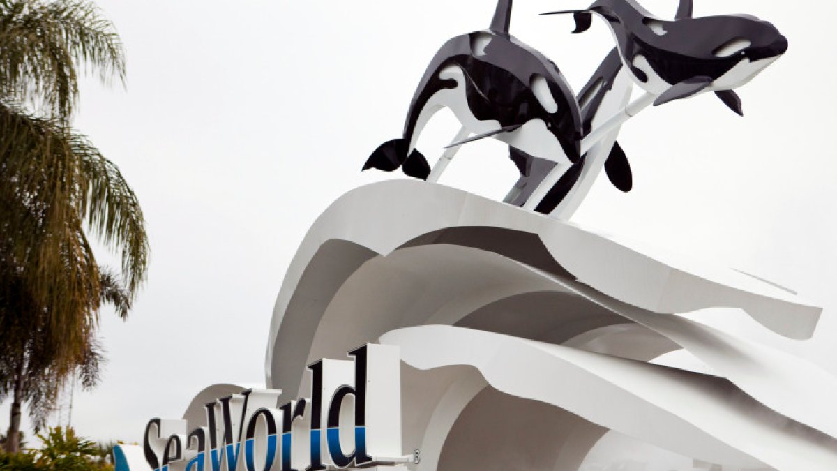 Viva La Música en Seaworld: esto debes saber del festival – Telemundo ...