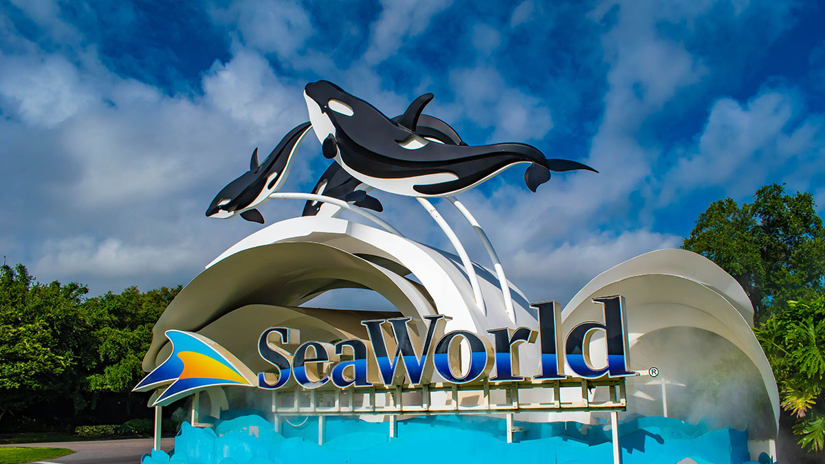 Horario de SeaWorld en Orlando durante el verano 2024 – Telemundo ...