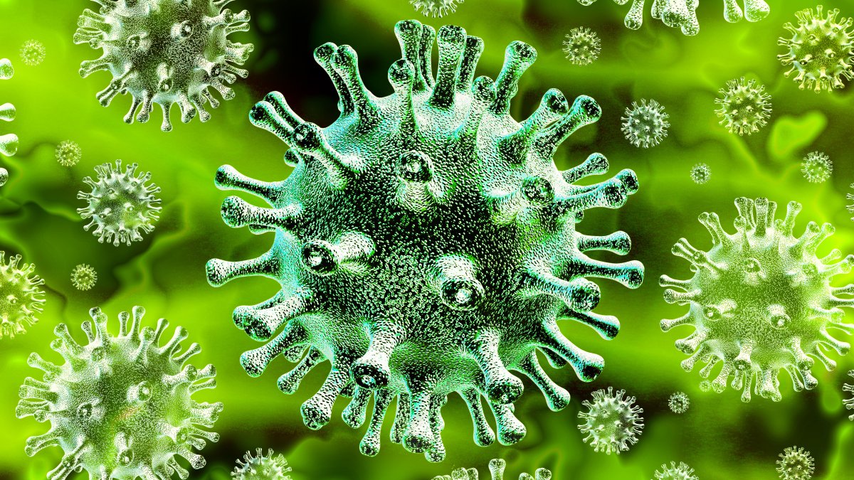Científicos hallan seis tipos de infecciones del coronavirus ...