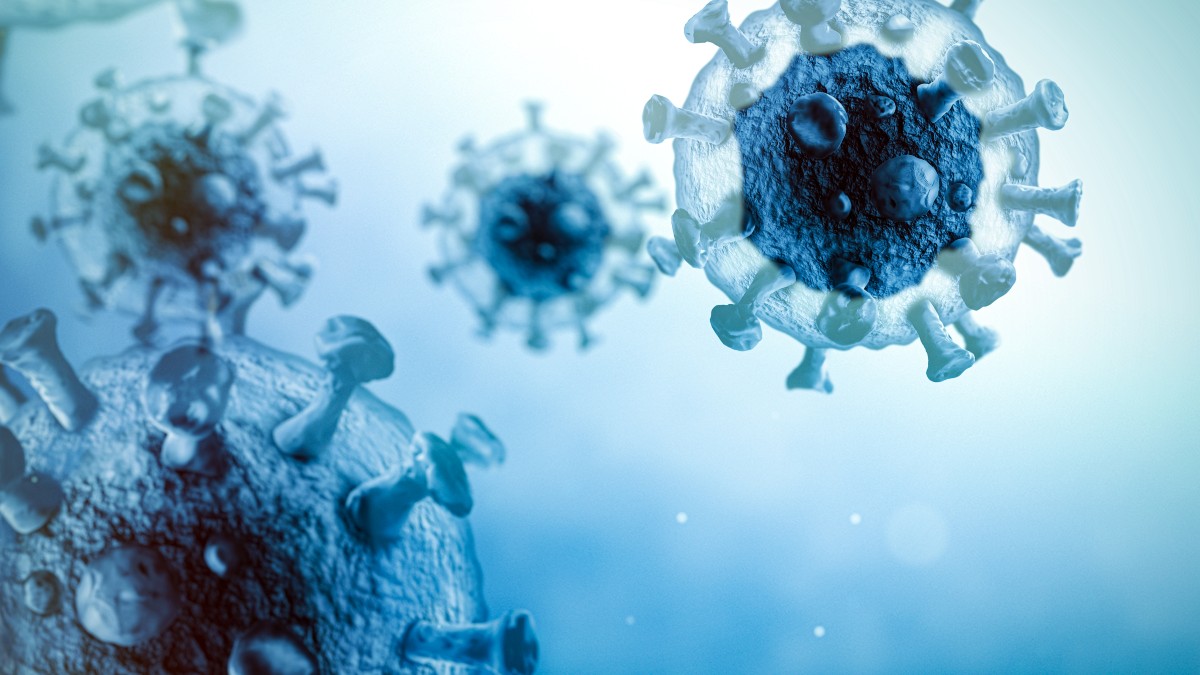 Confirman el primer caso de la variante Ómicron en Florida – Telemundo ...