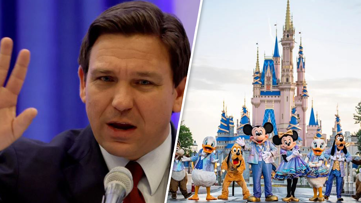 What Is The Special District Where Disney Operates And What Does ...