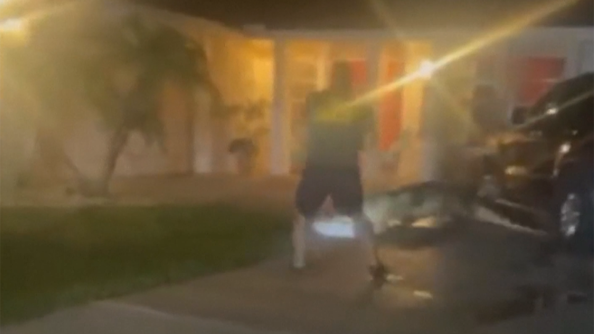 Caimán se aparece en la entrada de una casa en Florida – Telemundo ...