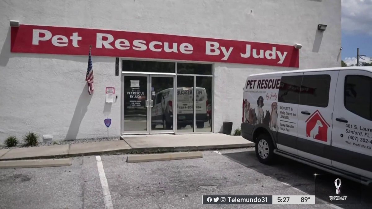 Pet Rescue By Judy: Un albergue que ama a los animales – Telemundo ...