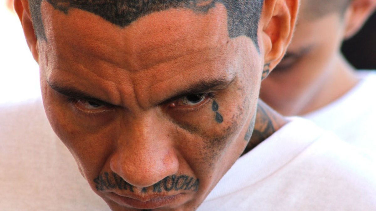 La historia de la Mara Salvatrucha – Telemundo Orlando (31)