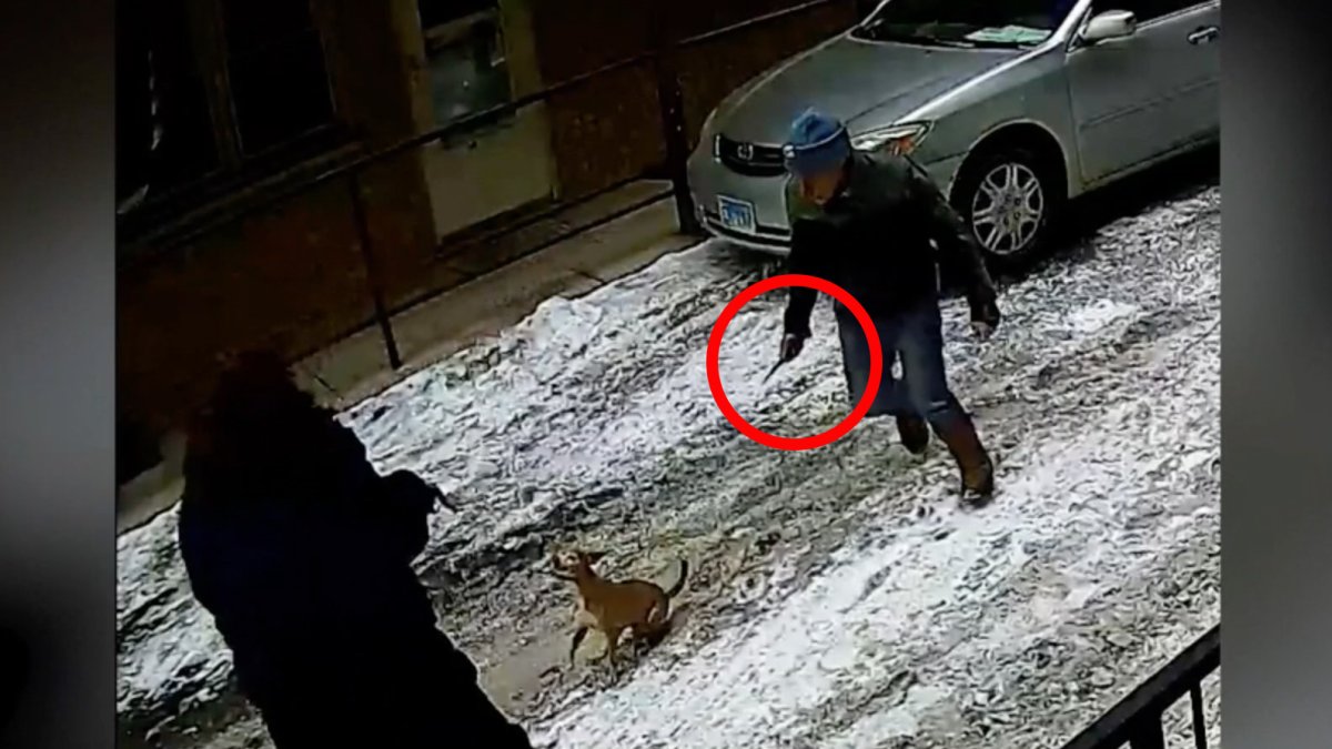 Arrestan a mujer de la tercera edad por acusaciones de acuchillar a un ...