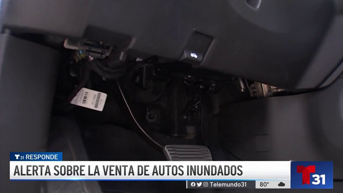 ¿Sabes cómo detectar si un auto ha sido inundado? – Telemundo Orlando (31)