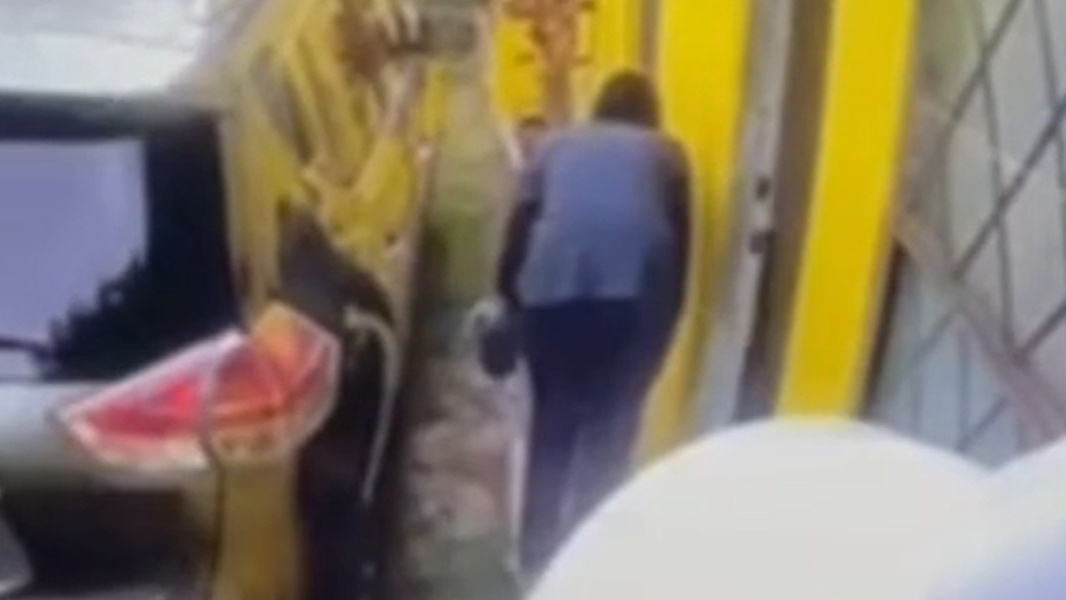 Enfermera de Lakeland es arrestada por presunta crueldad animal extrema ...