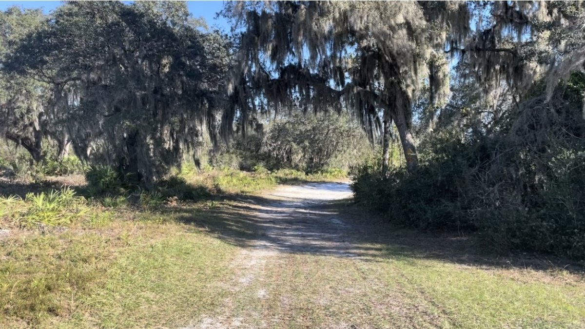 Split Oak Forest: FWC llega a un acuerdo con la Autoridad de Autopistas ...