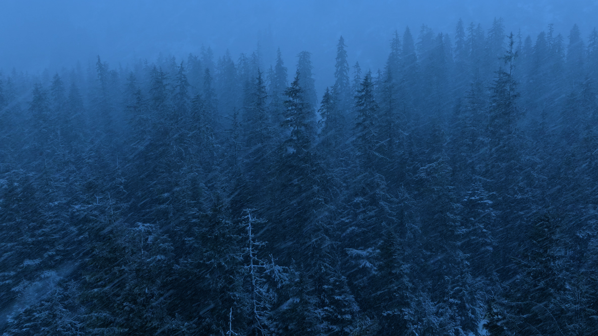 Telemundo presenta transmisión especial en el Día de la Tierra ...