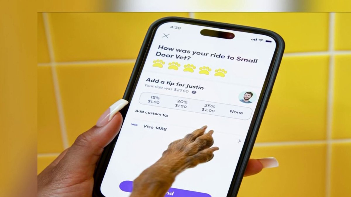 Lyft lanza "Pet Rides", para que puedas llevar a tu mascota a bordo ...