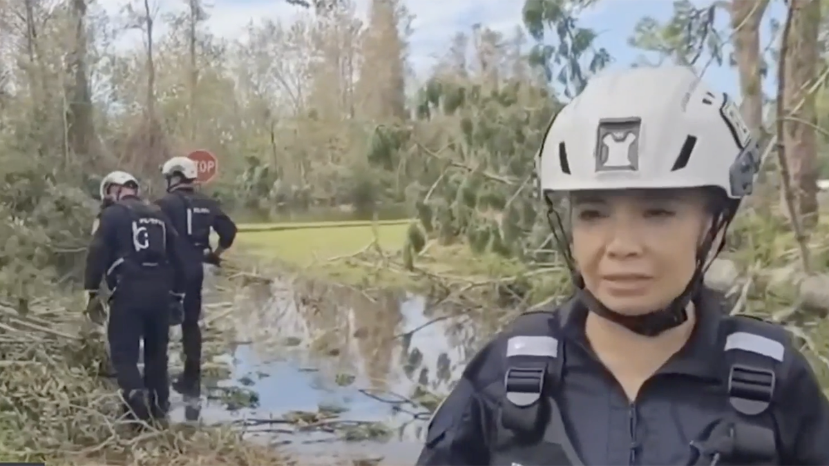Policías del sur de Florida salen hacia Tampa – Telemundo Orlando (31)