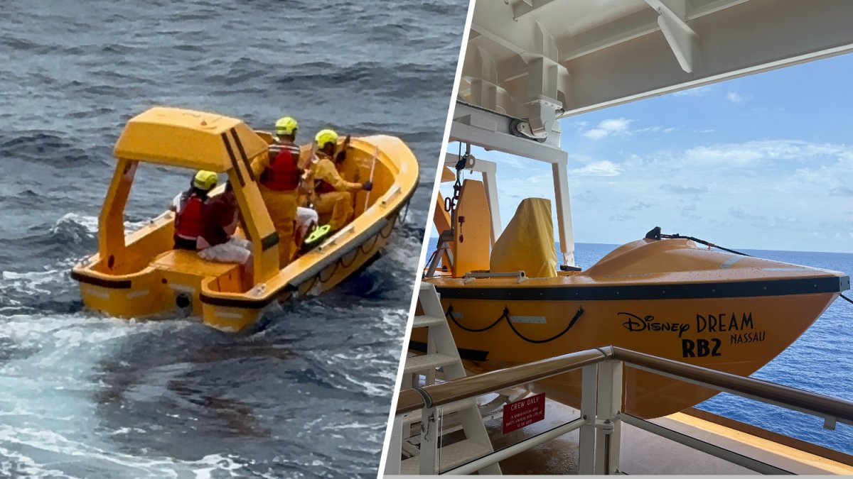Niña y su padre rescatados tras caer al agua de un crucero Disney ...