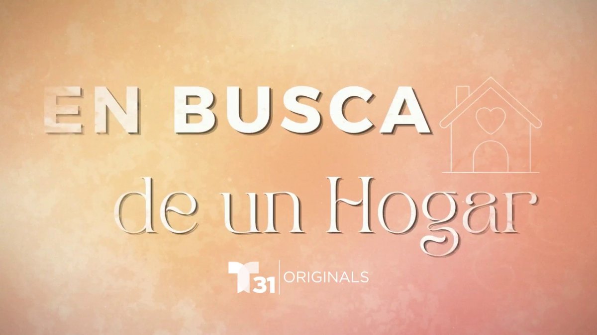 T31 Originals: En busca de un hogar – Telemundo Orlando (31)
