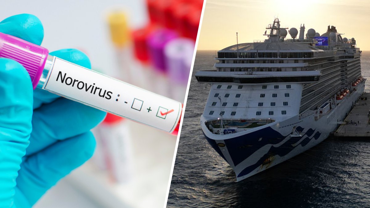 Crucero con brote de norovirus llega a Puerto Cañaveral, Florida ...
